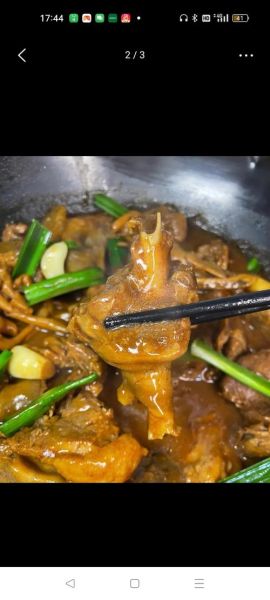 黄焖鹅怎么做才正宗_黄焖鹅用什么鹅肉最好-第2张图片-山城妙识 黄焖鹅怎么做才正宗_黄焖鹅用什么鹅肉最好-第2张图片-山城妙识