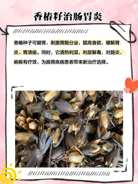 香椿子怎么吃_香椿子食用方法大全-第3张图片-山城妙识