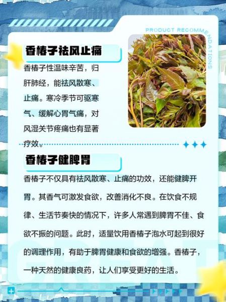 香椿子怎么吃_香椿子食用方法大全-第1张图片-山城妙识