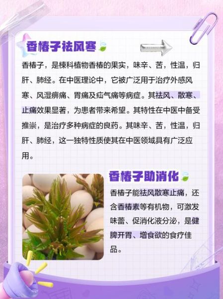 香椿子怎么吃_香椿子食用方法大全-第2张图片-山城妙识