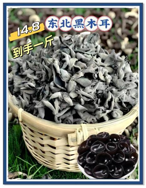 东北秋木耳的功效与作用_东北秋木耳怎么吃最好-第2张图片-山城妙识 东北秋木耳的功效与作用_东北秋木耳怎么吃最好-第2张图片-山城妙识