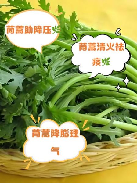 茼蒿致癌是真的吗_茼蒿功效与作用禁忌-第3张图片-山城妙识 茼蒿致癌是真的吗_茼蒿功效与作用禁忌-第3张图片-山城妙识