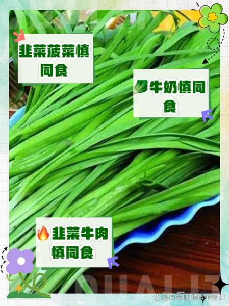 韭菜不能和什么一起吃_韭菜的食用禁忌有哪些-第1张图片-山城妙识 韭菜不能和什么一起吃_韭菜的食用禁忌有哪些-第1张图片-山城妙识