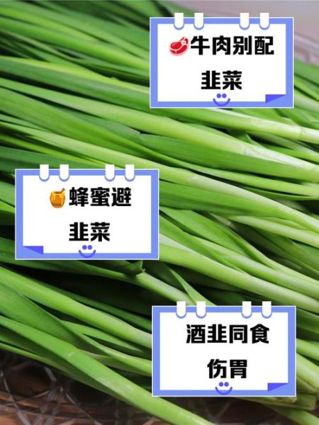 韭菜不能和什么一起吃_韭菜的食用禁忌有哪些-第3张图片-山城妙识 韭菜不能和什么一起吃_韭菜的食用禁忌有哪些-第3张图片-山城妙识