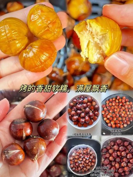 锥栗和板栗的区别_锥栗怎么做好吃-第2张图片-山城妙识 锥栗和板栗的区别_锥栗怎么做好吃-第2张图片-山城妙识