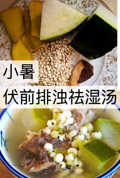 冬瓜薏米祛湿汤怎么做_湿气重喝多久见效-第2张图片-山城妙识 冬瓜薏米祛湿汤怎么做_湿气重喝多久见效-第2张图片-山城妙识