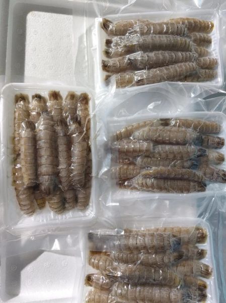 虾爬子怎么扒皮图解_虾爬子剥皮技巧-第3张图片-山城妙识 虾爬子怎么扒皮图解_虾爬子剥皮技巧-第3张图片-山城妙识