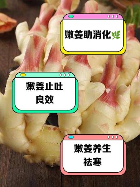 鲜姜的功效与作用_鲜姜怎么吃最好-第1张图片-山城妙识 鲜姜的功效与作用_鲜姜怎么吃最好-第1张图片-山城妙识