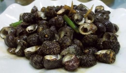 单齿螺是什么螺_单齿螺怎么做好吃-第2张图片-山城妙识 单齿螺是什么螺_单齿螺怎么做好吃-第2张图片-山城妙识