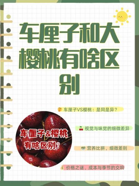 车厘子和樱桃有什么区别吗_车厘子与樱桃哪个更好吃-第2张图片-山城妙识 车厘子和樱桃有什么区别吗_车厘子与樱桃哪个更好吃-第2张图片-山城妙识
