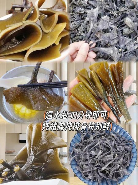 海带根的功效与作用_海带根怎么吃最营养-第3张图片-山城妙识 海带根的功效与作用_海带根怎么吃最营养-第3张图片-山城妙识