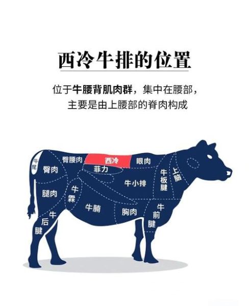 西冷牛排为什么嫩_西冷牛排口感特点是什么-第1张图片-山城妙识 西冷牛排为什么嫩_西冷牛排口感特点是什么-第1张图片-山城妙识