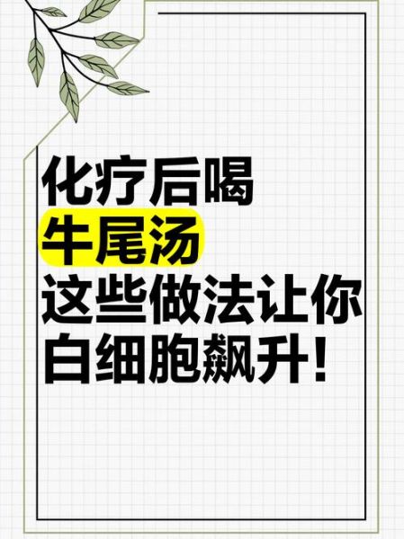 牛尾汤升白细胞有用吗_怎么做最有效-第1张图片-山城妙识