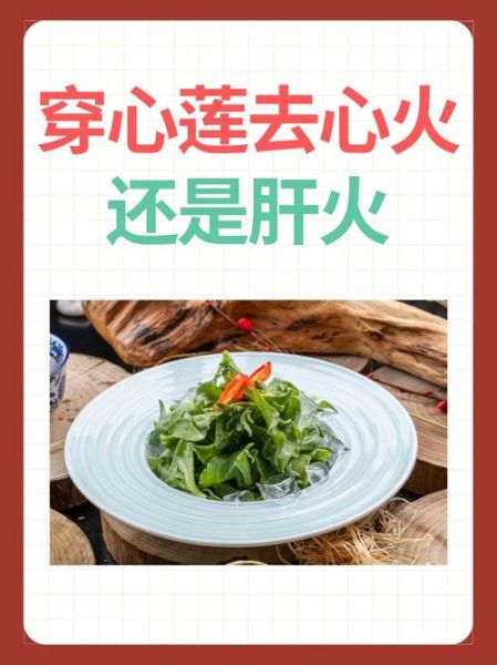 穿心莲的功效与作用有哪些_穿心莲的禁忌症是什么-第1张图片-山城妙识 穿心莲的功效与作用有哪些_穿心莲的禁忌症是什么-第1张图片-山城妙识