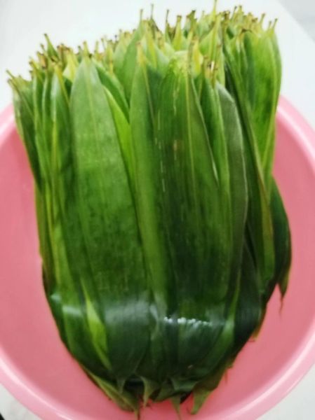 竹叶包粽子怎么包_竹叶包粽子步骤图解-第3张图片-山城妙识 竹叶包粽子怎么包_竹叶包粽子步骤图解-第3张图片-山城妙识