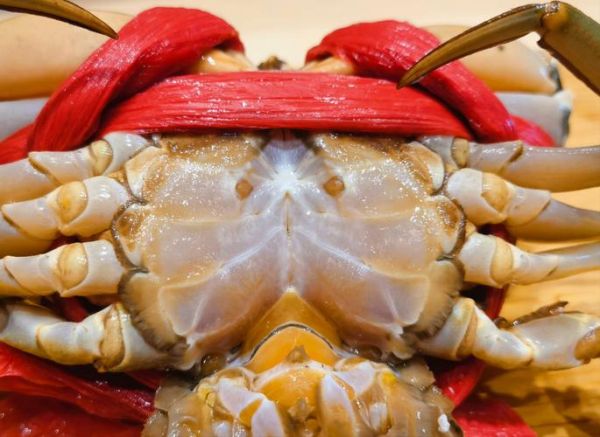 黄油蟹产地在哪里_正宗黄油蟹怎么挑选-第1张图片-山城妙识 黄油蟹产地在哪里_正宗黄油蟹怎么挑选-第1张图片-山城妙识