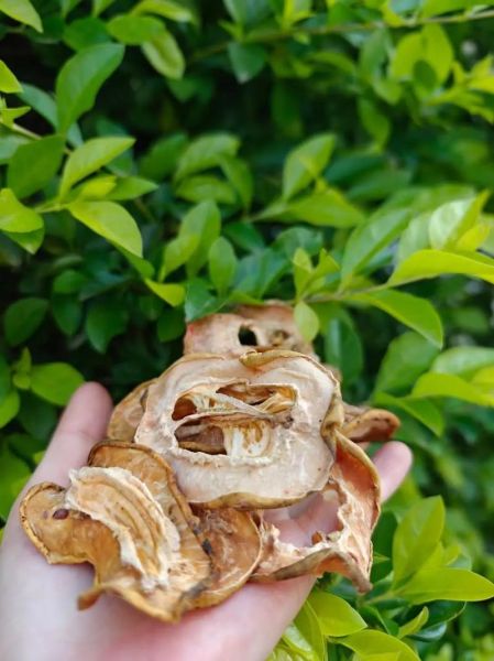 木瓜干泡水喝有什么好处_木瓜干泡水怎么喝才有效-第3张图片-山城妙识 木瓜干泡水喝有什么好处_木瓜干泡水怎么喝才有效-第3张图片-山城妙识