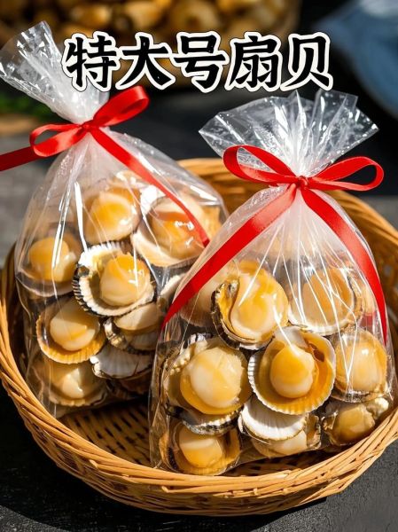 鲜贝肉怎么做好吃_鲜贝肉的营养价值-第1张图片-山城妙识