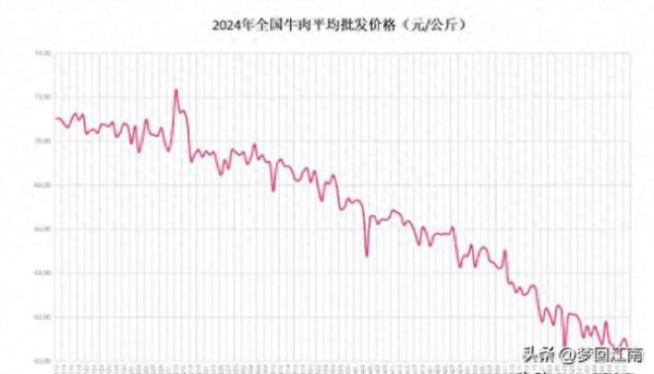 牛肉价格今日价走势_牛肉多少钱一斤2024-第1张图片-山城妙识