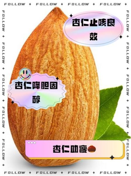 大杏仁的功效与作用_大杏仁一天吃多少粒最好-第1张图片-山城妙识