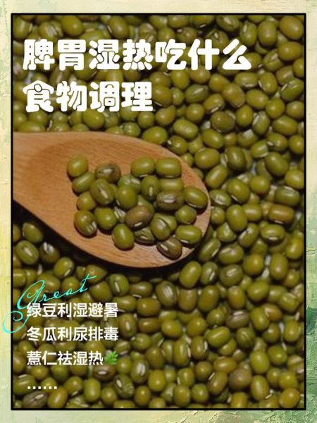 湿热吃什么食物好_湿热体质饮食禁忌-第2张图片-山城妙识