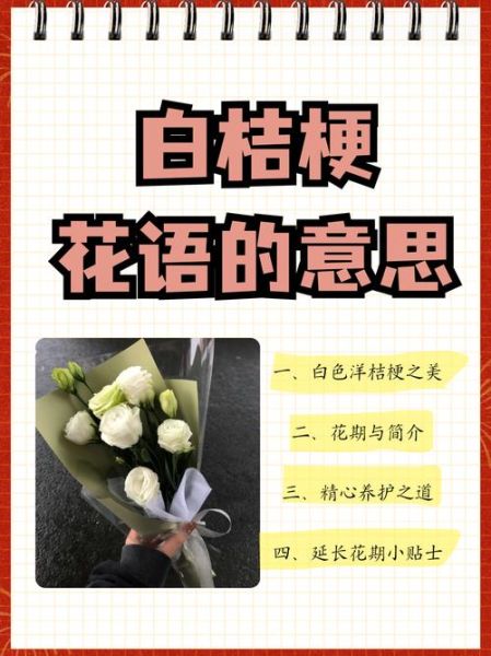 花语大全爱情寓意_送什么花最浪漫-第2张图片-山城妙识 花语大全爱情寓意_送什么花最浪漫-第2张图片-山城妙识