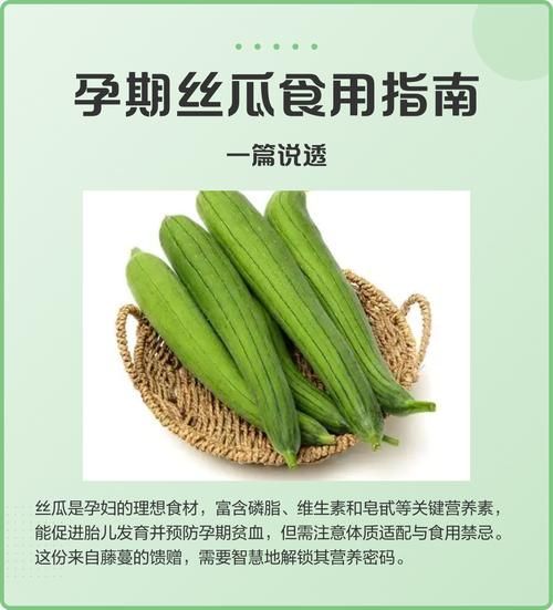 丝瓜的营养价值_丝瓜怎么吃最营养-第2张图片-山城妙识 丝瓜的营养价值_丝瓜怎么吃最营养-第2张图片-山城妙识
