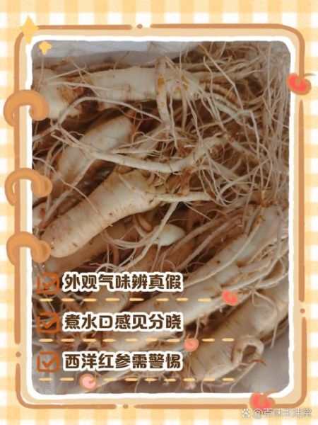 红参植物图片长什么样_如何区分真假红参-第3张图片-山城妙识 红参植物图片长什么样_如何区分真假红参-第3张图片-山城妙识