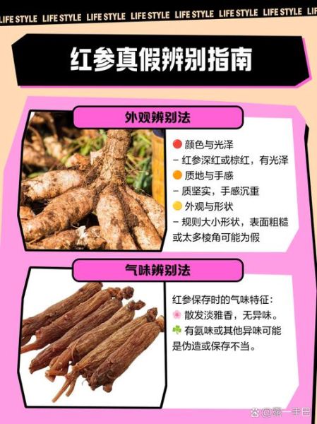 红参植物图片长什么样_如何区分真假红参-第2张图片-山城妙识 红参植物图片长什么样_如何区分真假红参-第2张图片-山城妙识