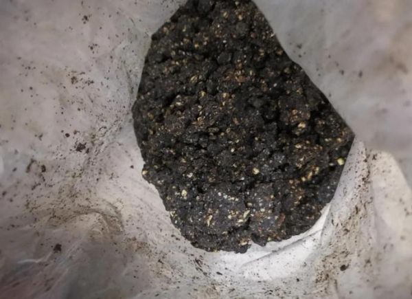 菜籽饼怎么做窝料_菜籽饼打窝效果好吗-第2张图片-山城妙识 菜籽饼怎么做窝料_菜籽饼打窝效果好吗-第2张图片-山城妙识