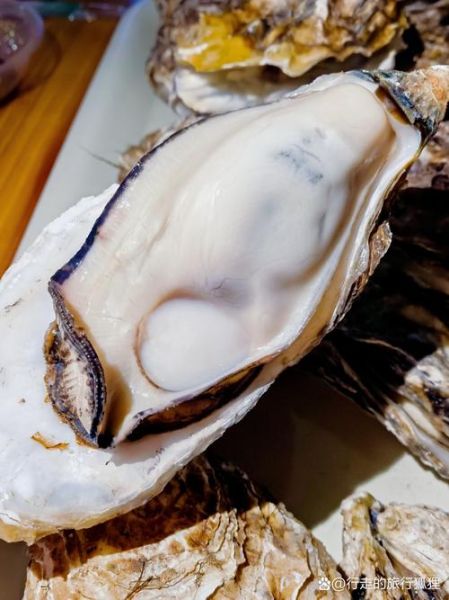 海蛎子多少钱一斤_海蛎子价格受哪些因素影响-第3张图片-山城妙识 海蛎子多少钱一斤_海蛎子价格受哪些因素影响-第3张图片-山城妙识