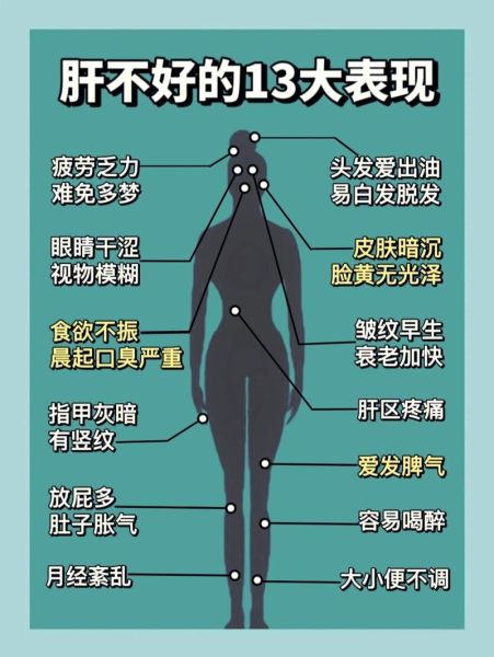 男性肝脏不好的4个表现_怎么调理-第3张图片-山城妙识 男性肝脏不好的4个表现_怎么调理-第3张图片-山城妙识