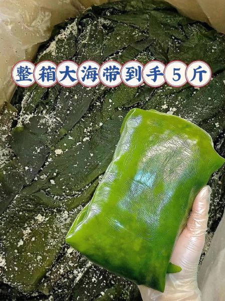 海带宝转运怎么样_海带宝转运官网使用教程-第3张图片-山城妙识 海带宝转运怎么样_海带宝转运官网使用教程-第3张图片-山城妙识
