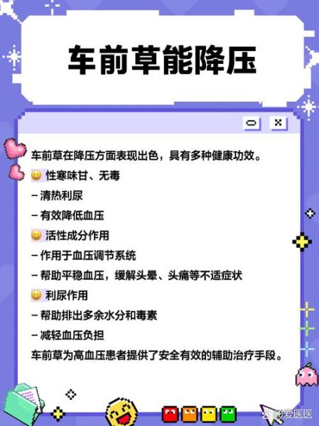 车前草副作用有哪些_车前草泡水喝禁忌-第1张图片-山城妙识 车前草副作用有哪些_车前草泡水喝禁忌-第1张图片-山城妙识