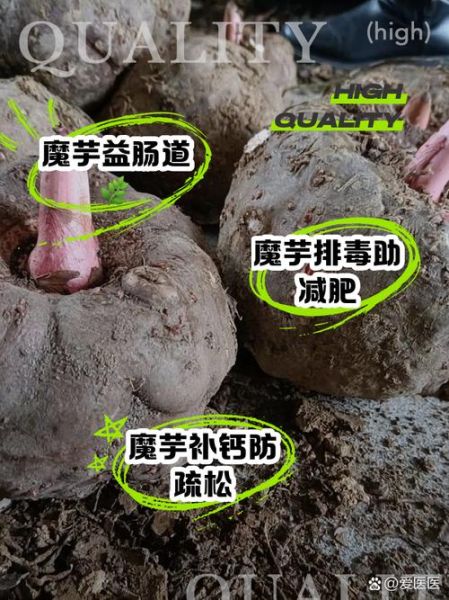 魔芋热量高吗_魔芋减肥能吃多少-第3张图片-山城妙识