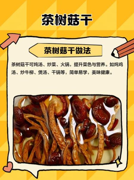 干茶树菇怎么做好吃汤_干茶树菇煲汤前要泡多久-第1张图片-山城妙识 干茶树菇怎么做好吃汤_干茶树菇煲汤前要泡多久-第1张图片-山城妙识