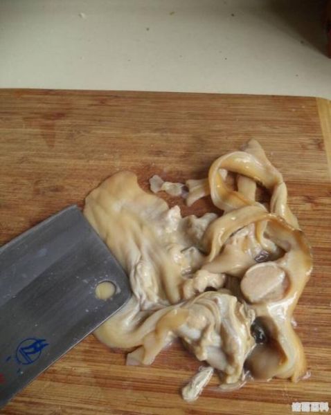 河蚌肉怎么清洗_河蚌肉处理干净的方法-第1张图片-山城妙识 河蚌肉怎么清洗_河蚌肉处理干净的方法-第1张图片-山城妙识