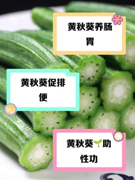 人参黄秋葵能提高性功能吗_适合哪些人群-第1张图片-山城妙识 人参黄秋葵能提高性功能吗_适合哪些人群-第1张图片-山城妙识