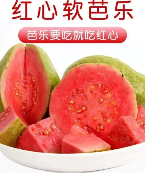 红心芭乐的功效与作用_红心芭乐禁忌有哪些-第2张图片-山城妙识