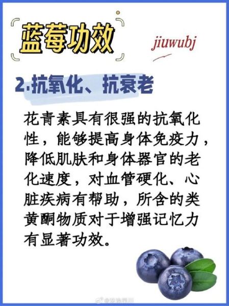 蓝莓哪些人不能吃_蓝莓禁忌人群-第3张图片-山城妙识 蓝莓哪些人不能吃_蓝莓禁忌人群-第3张图片-山城妙识