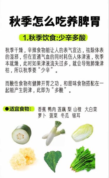秋天饮食吃什么养生_秋季养生食谱推荐-第2张图片-山城妙识 秋天饮食吃什么养生_秋季养生食谱推荐-第2张图片-山城妙识