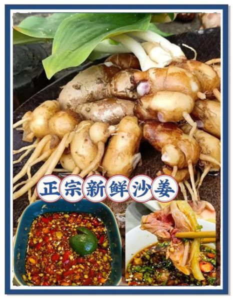 沙姜的功效与作用_沙姜怎么吃最养胃-第3张图片-山城妙识 沙姜的功效与作用_沙姜怎么吃最养胃-第3张图片-山城妙识