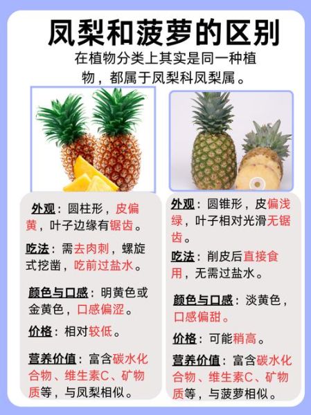 凤梨和菠萝的区别_凤梨是菠萝吗-第1张图片-山城妙识 凤梨和菠萝的区别_凤梨是菠萝吗-第1张图片-山城妙识