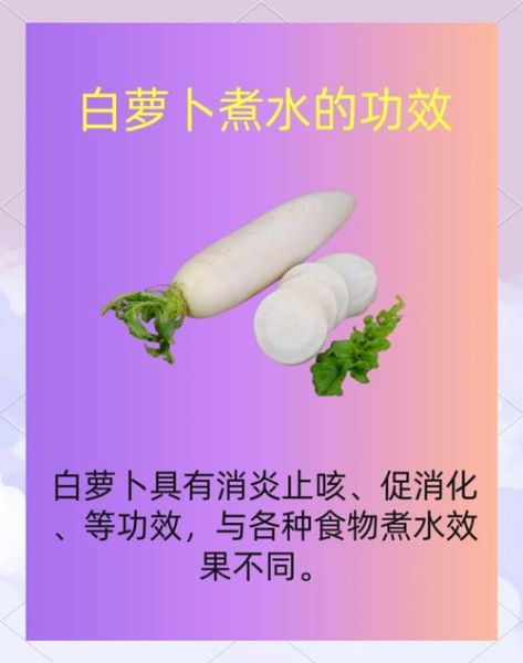 白萝卜煲汤的做法大全_白萝卜煲汤怎么做好喝-第2张图片-山城妙识 白萝卜煲汤的做法大全_白萝卜煲汤怎么做好喝-第2张图片-山城妙识