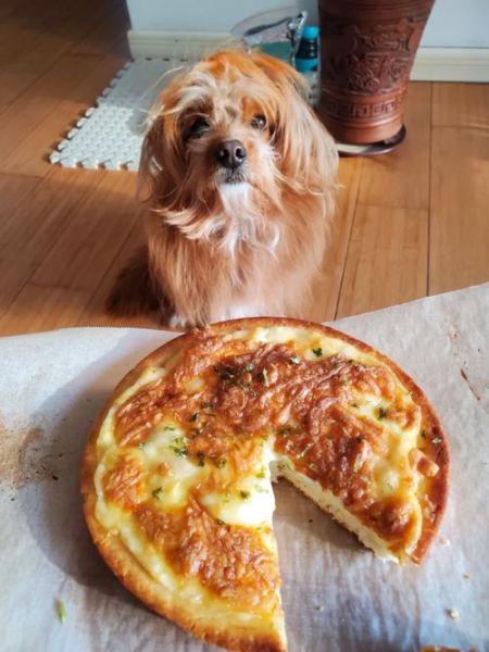 乳酪大会披萨好吃吗_乳酪大会披萨值得买吗-第2张图片-山城妙识