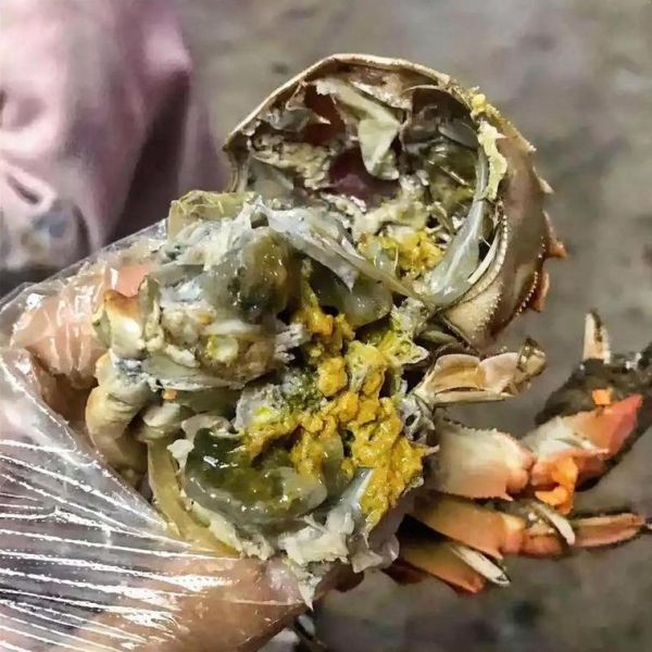 螃蟹买回家死了还能吃吗_螃蟹死了多久不能吃-第3张图片-山城妙识 螃蟹买回家死了还能吃吗_螃蟹死了多久不能吃-第3张图片-山城妙识