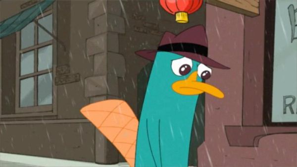 鸭嘴兽泰瑞是谁_泰瑞和飞哥与小佛关系-第2张图片-山城妙识 鸭嘴兽泰瑞是谁_泰瑞和飞哥与小佛关系-第2张图片-山城妙识