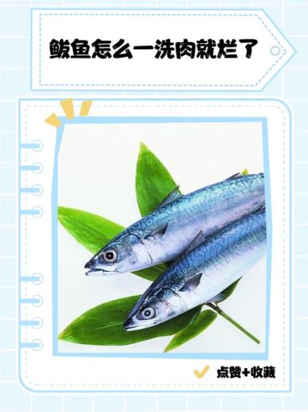 鲅鱼一洗肉就碎怎么办_鲅鱼肉易碎原因-第1张图片-山城妙识 鲅鱼一洗肉就碎怎么办_鲅鱼肉易碎原因-第1张图片-山城妙识