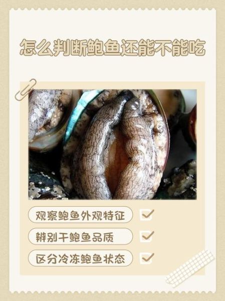 鲍鱼咬不动是太生还是太老_怎么判断-第2张图片-山城妙识