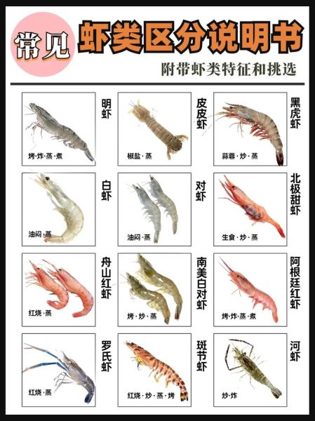 深海虾的种类有哪些_深海虾和淡水虾区别-第1张图片-山城妙识 深海虾的种类有哪些_深海虾和淡水虾区别-第1张图片-山城妙识